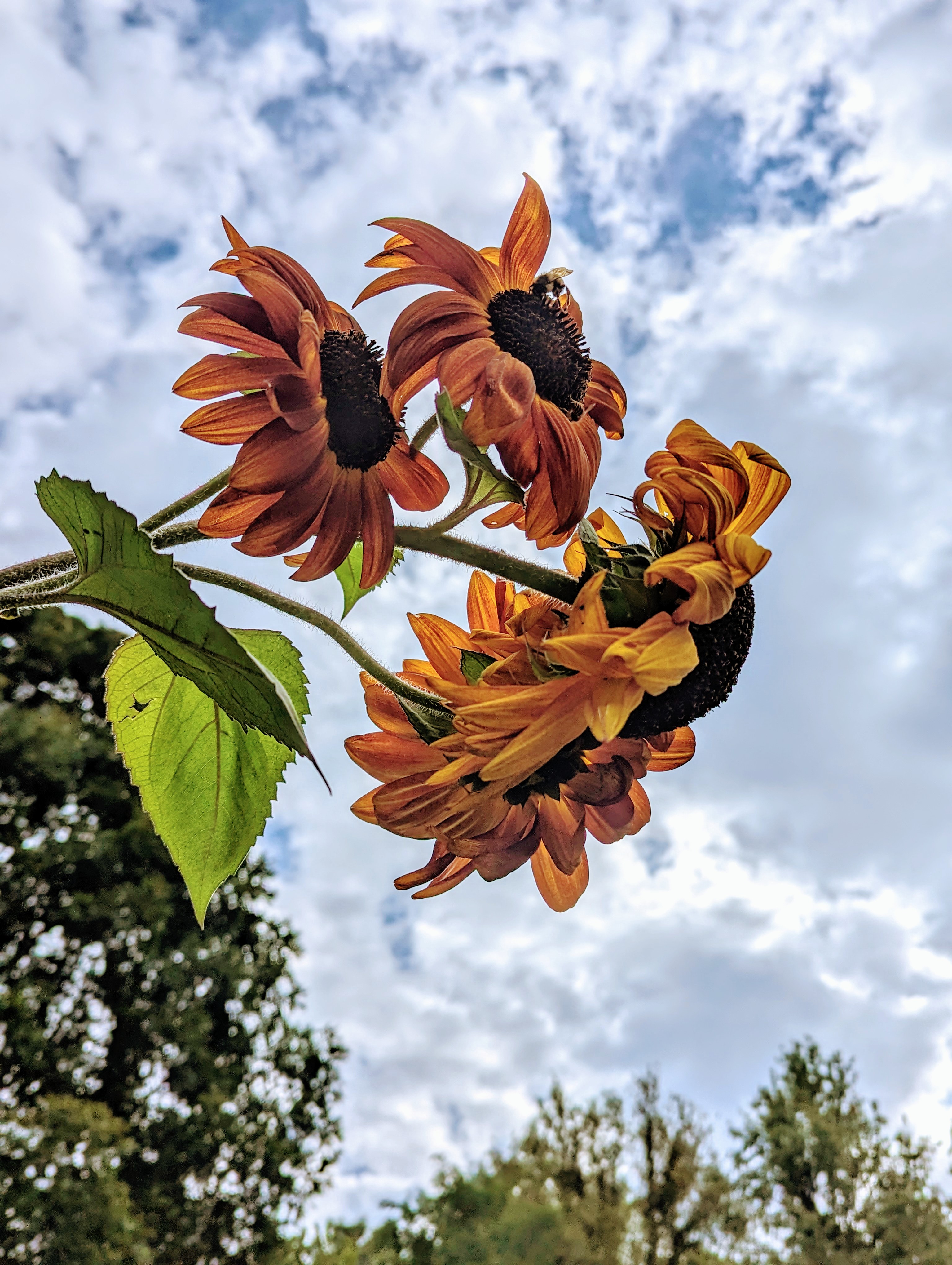 Allison Janae Blog – Writing to encourage others and glorify God